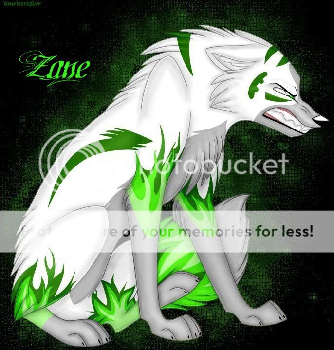 Wolf Magdzia: A to Mój Przyjaciel Igi